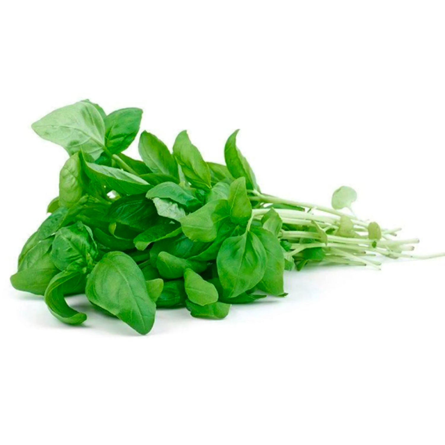 Albahaca-30-g.jpg?v=638785940484900000